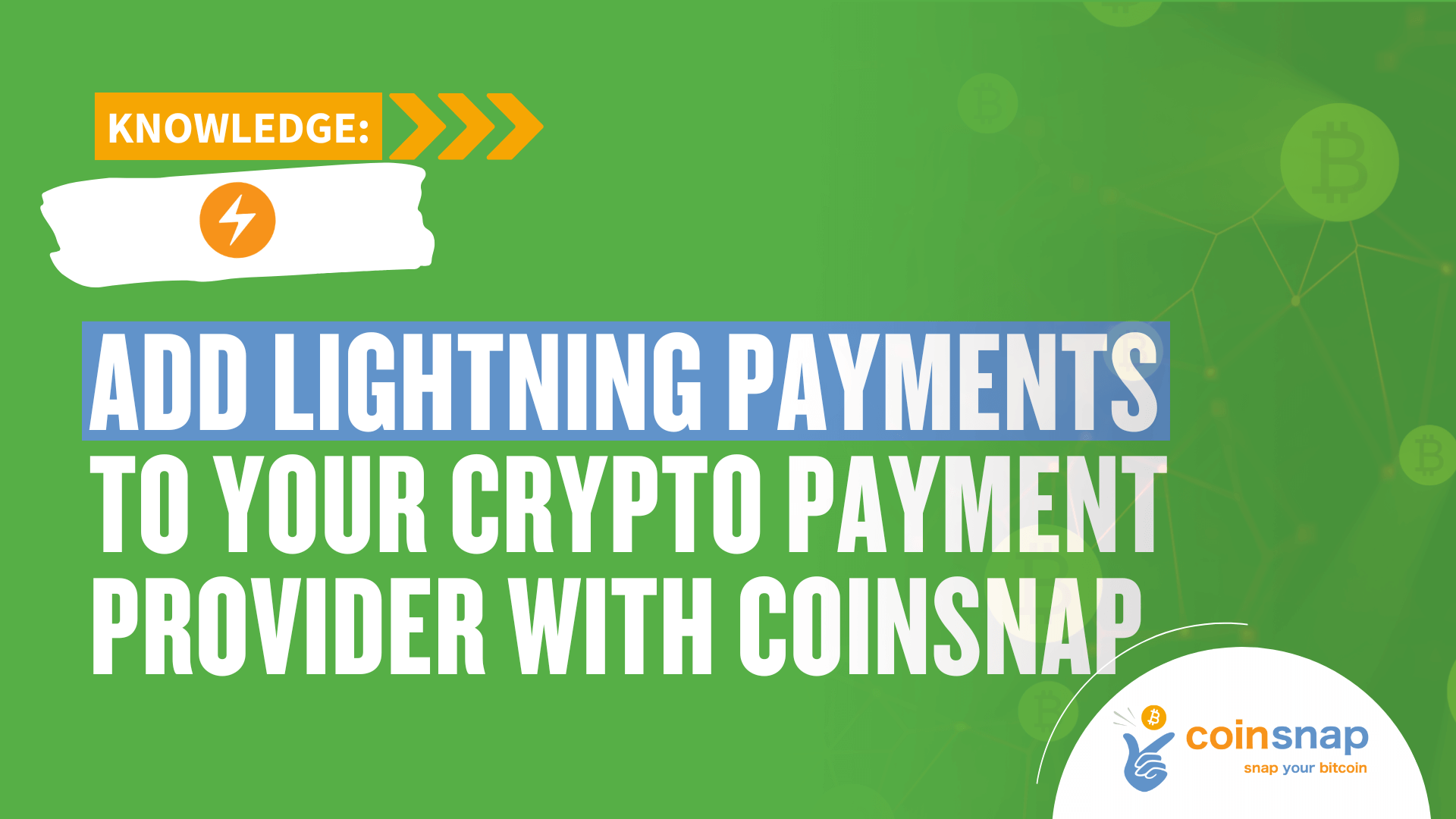 Accept Lightning payments